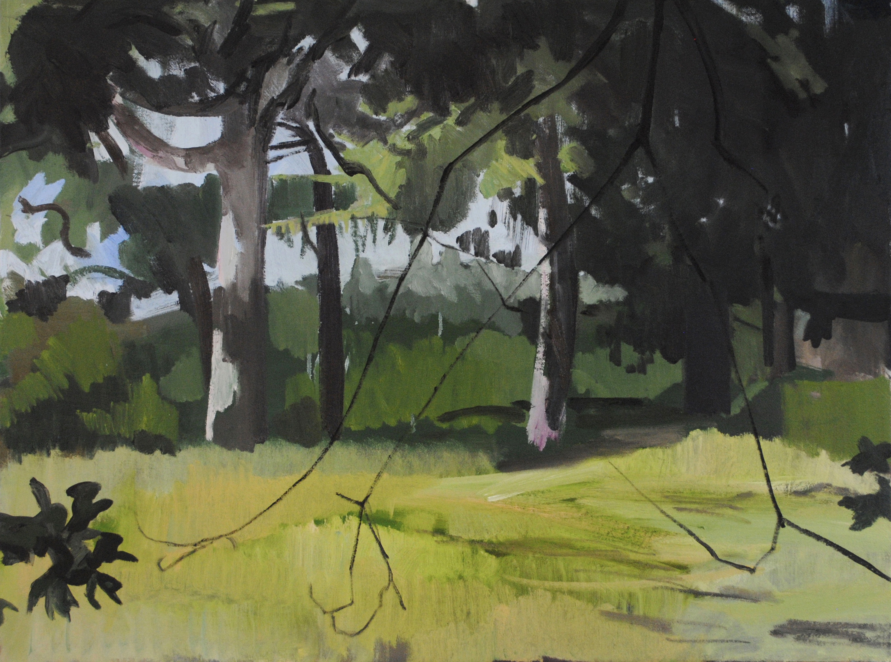 Jeremy Akerman Paintings